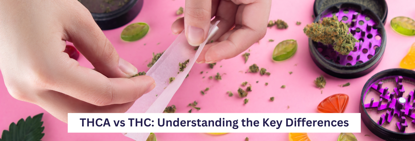 THCA Vs THC Understand The Key Differences MPC thca-vs-thc-understand-the-key-differences-mpc