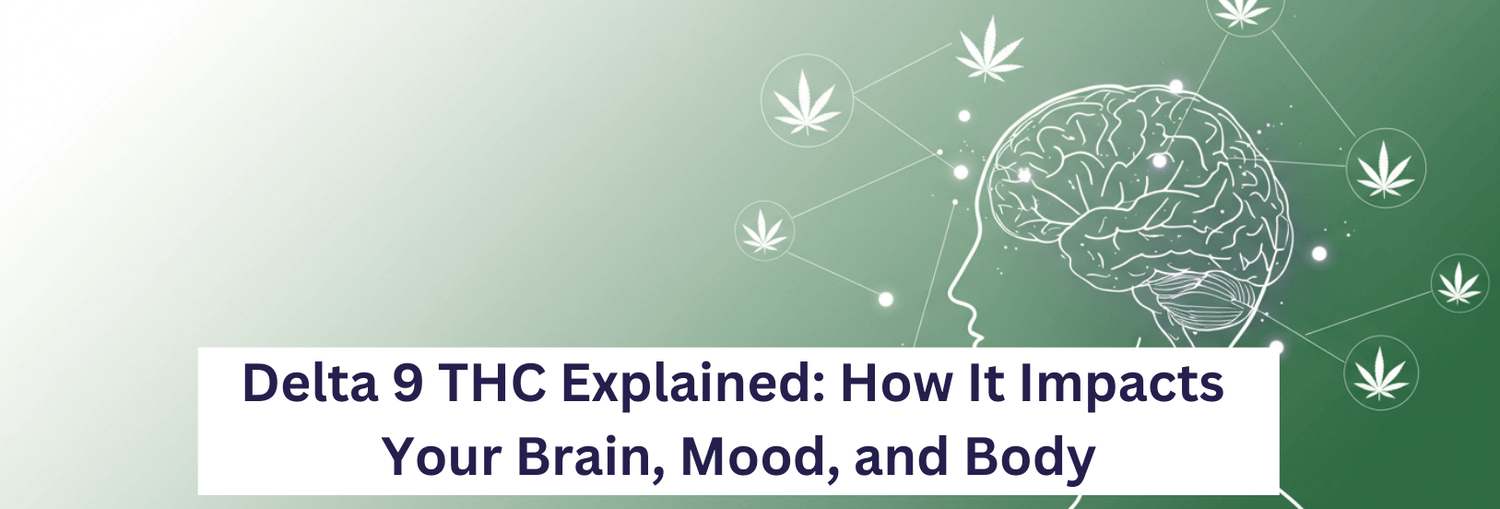 Delta 9 THC Effects on Brain, Mood, Sleep, and Body – MPC