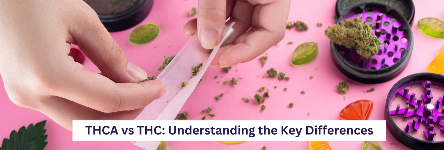 THCA vs. THC: Understand the Key Differences – MPC