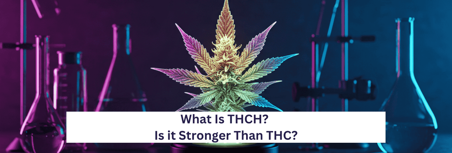 THCH vs THC: Potency, Effects, and What to Expect – MPC