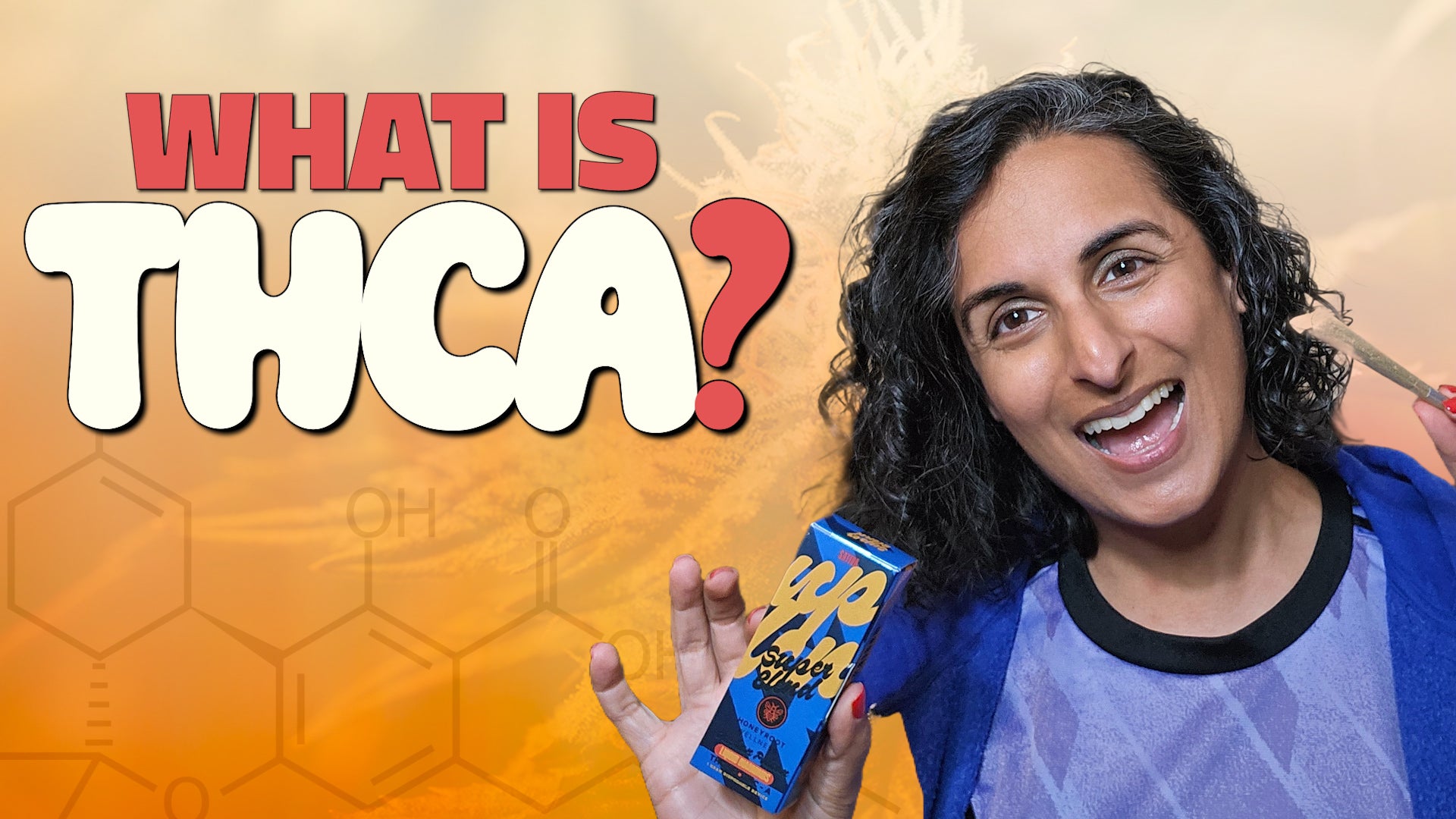 Video Gallery – MPC